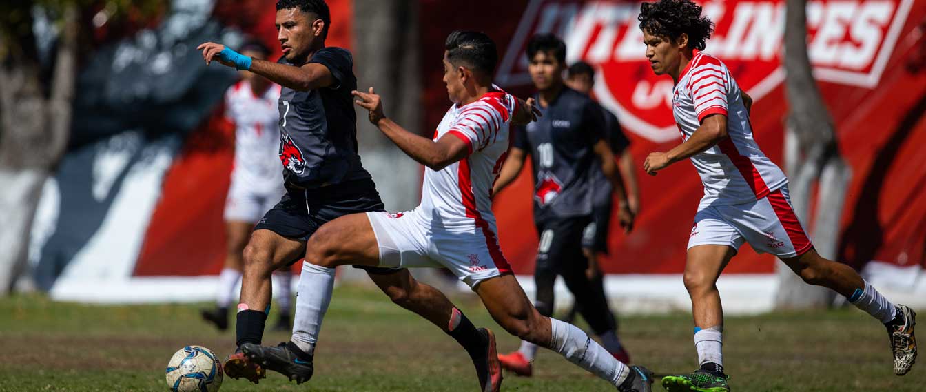 Conoce las becas deportivas y culturales UVM | Blog UVM